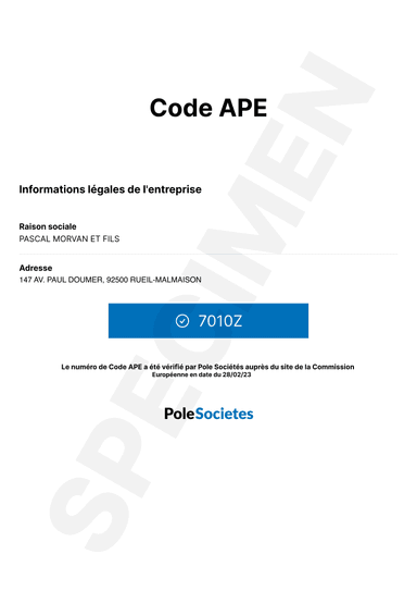 Codes APE, NAF, NACE et CITI : quelles différences